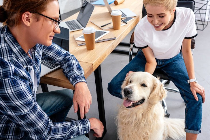 Training Your Dog for a Successful Workday: Tips for Good Behavior at ...